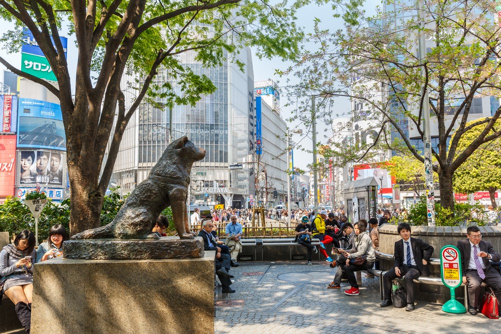 “The Controversy behind Hachi’s Death”— Hachi Snapshot #19: The Truth ...