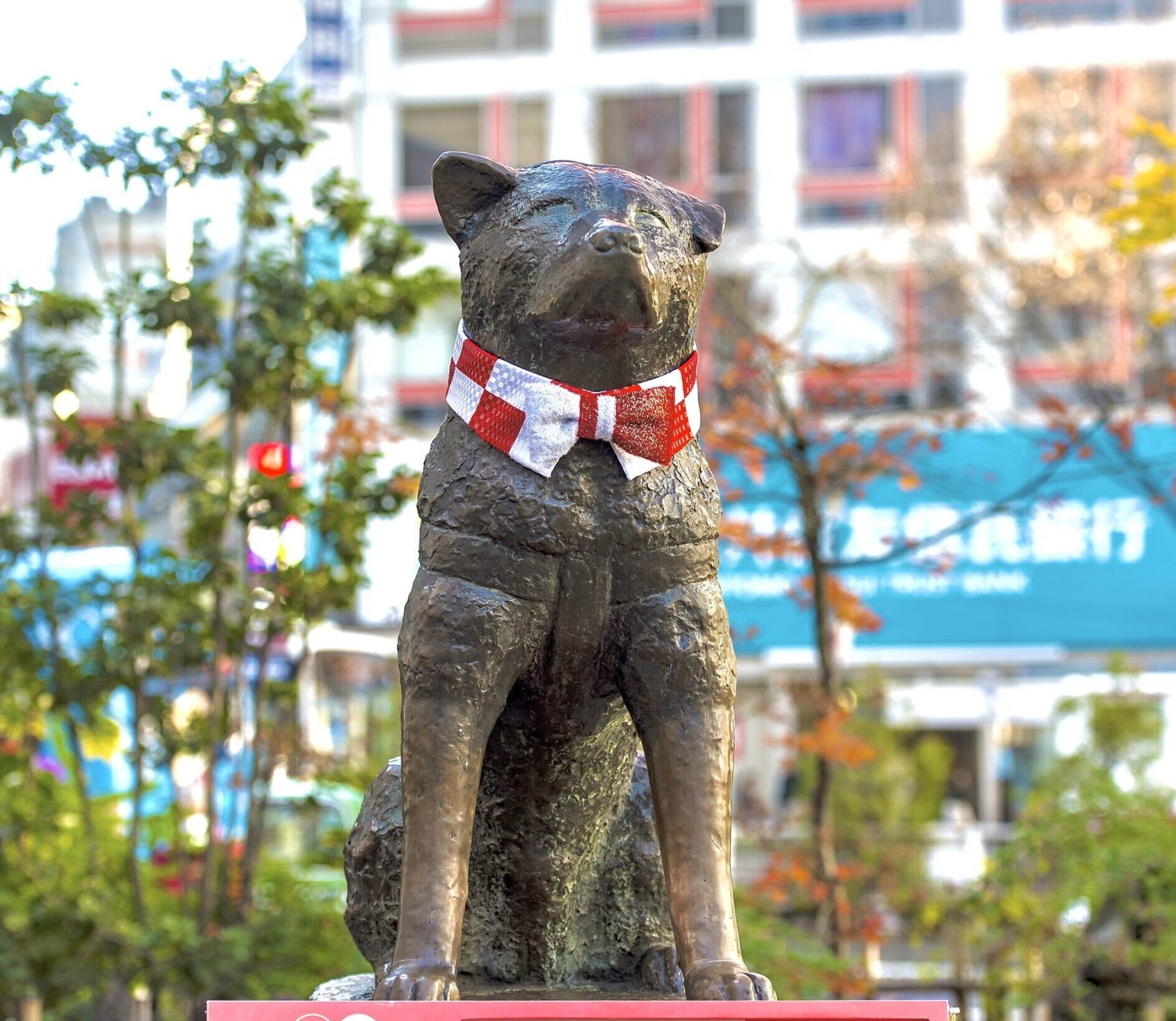 “Farewell to Hachi: A Heartfelt Tribute at His Funeral” — Hachi Snapshot #18: The Truth Behind ...